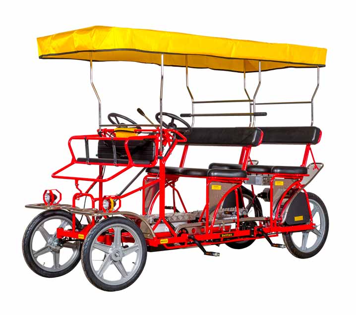 Notre gamme de rosalies avec ou sans assistance électrique