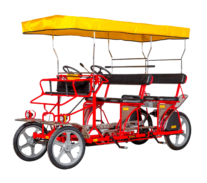 Notre gamme de rosalies avec ou sans assistance électrique